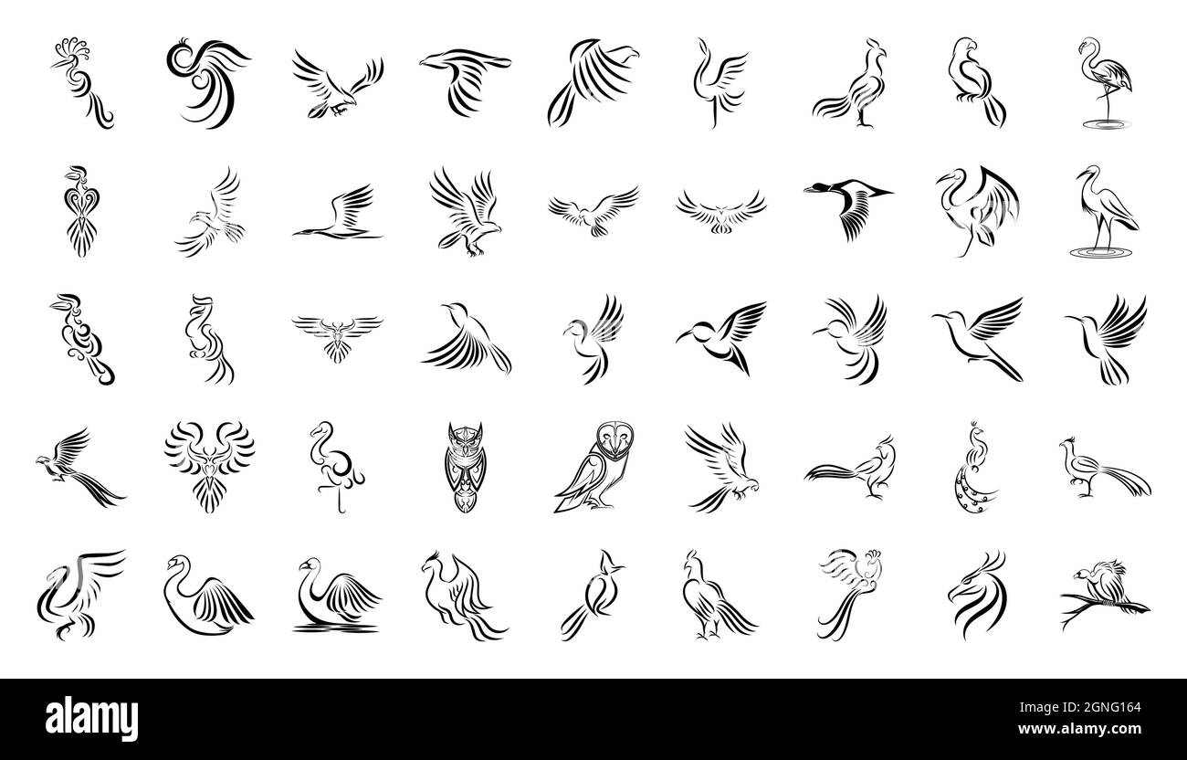 Line wing Cut Out Stock Images & Pictures - Alamy