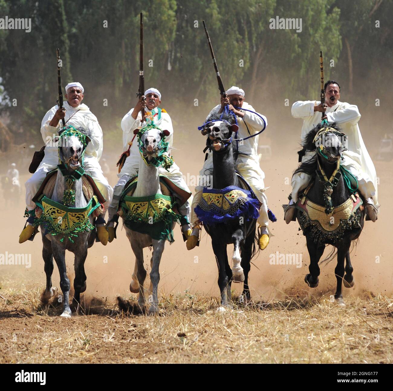 Galop High Resolution Stock Photography and Images - Alamy