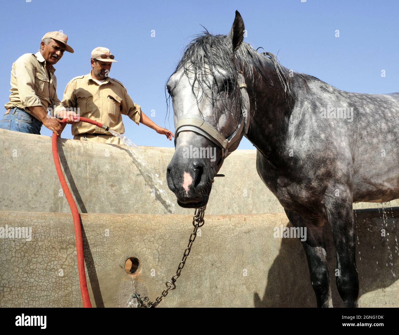 Arab beard hi-res stock photography and images - Alamy