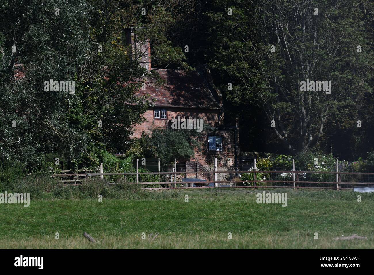 Port Lympne Animal Reserve, Kent UK Stock Photo - Alamy