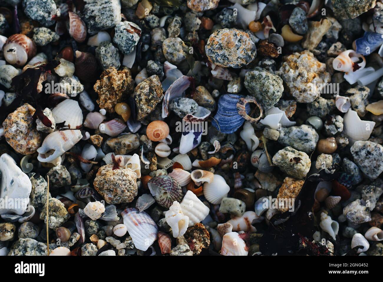Stones on the beach Stock Photo - Alamy