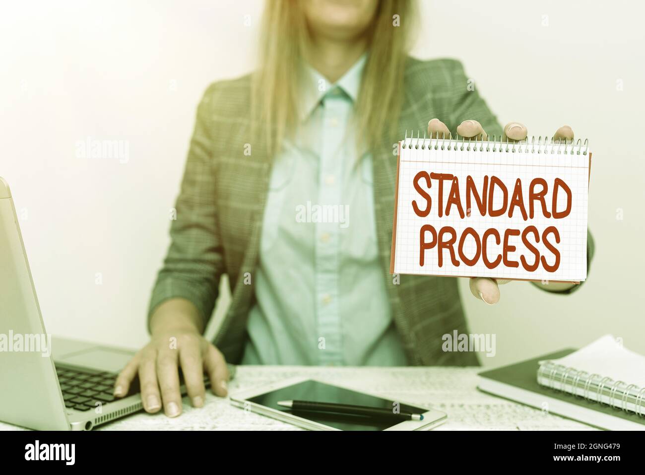Conceptual display Standard Process. Business idea rules made to be ...