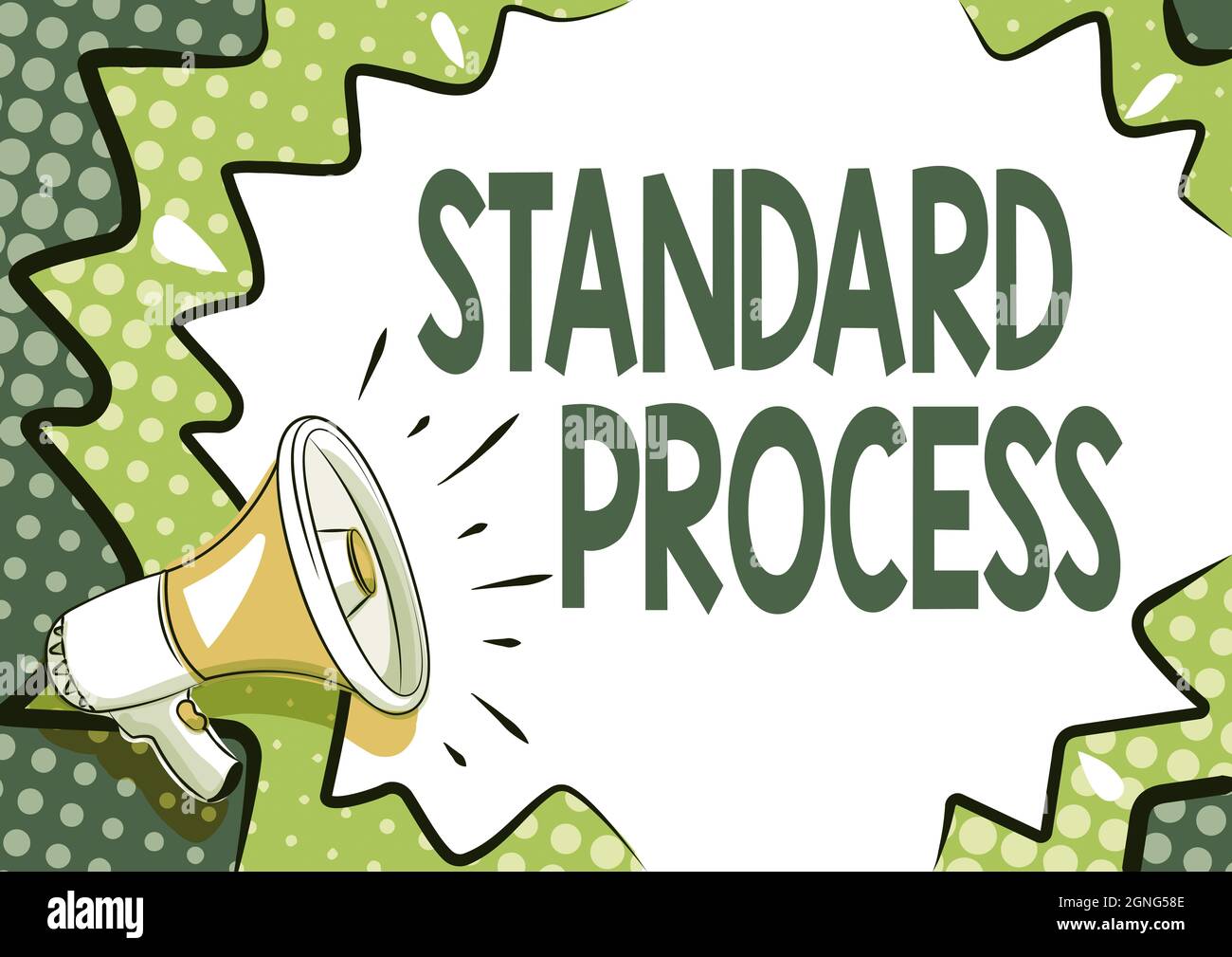 Conceptual caption Standard Process. Conceptual photo rules made to be ...