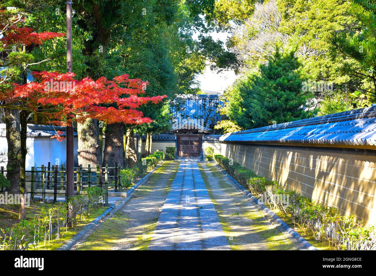 Stone pavement in a Japanese garden setting Stock Photo - Alamy