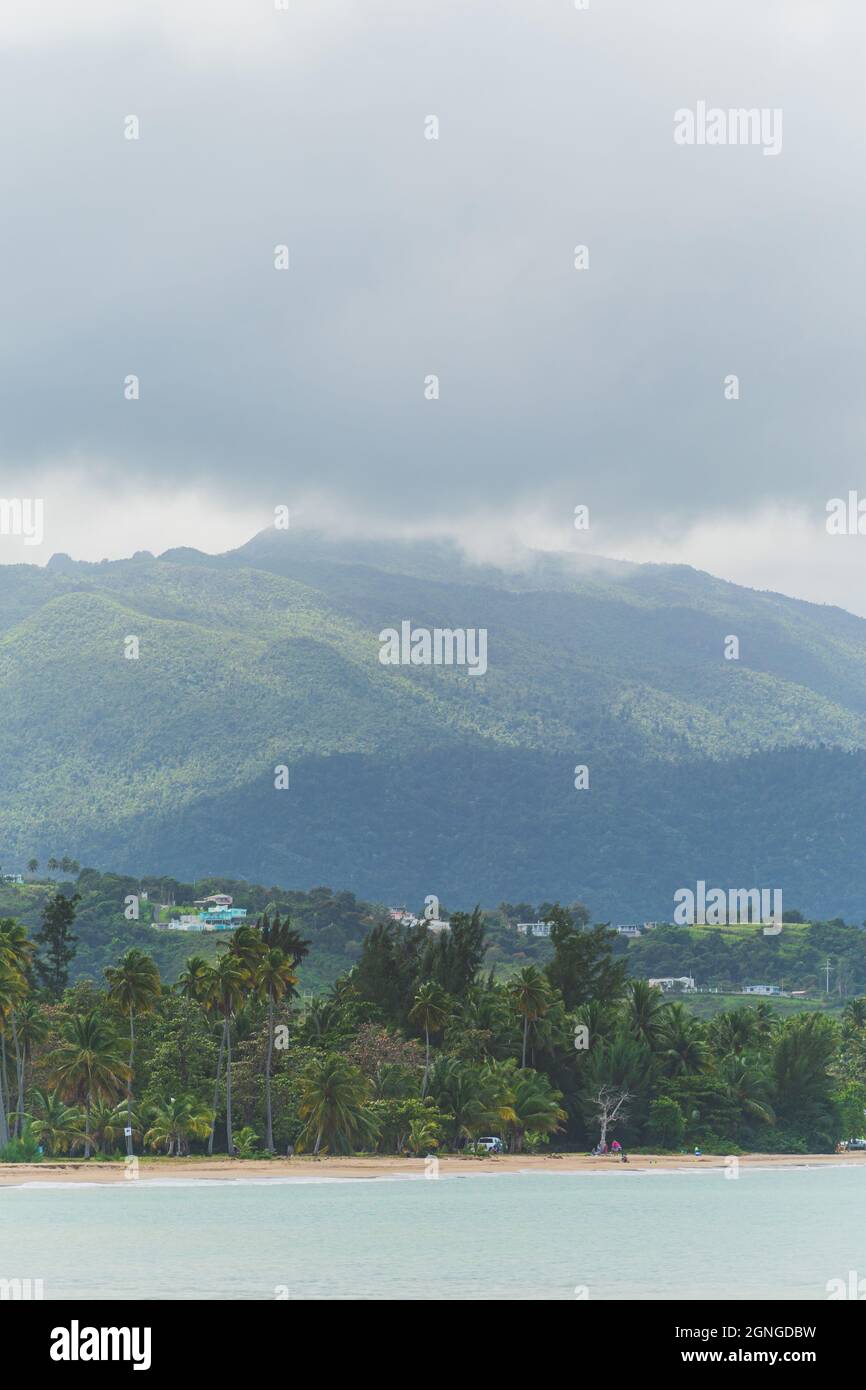 El junque rainforest hi-res stock photography and images - Alamy