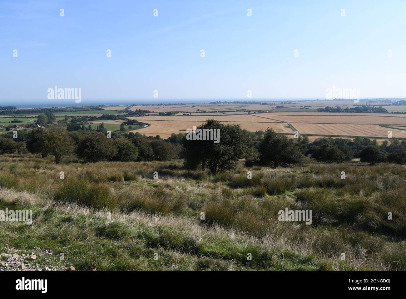Port lympne reserve view hi-res stock photography and images - Alamy