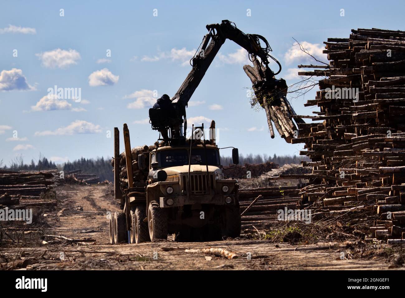 Forest industry. Operations for loading-unloading logging truck at ...