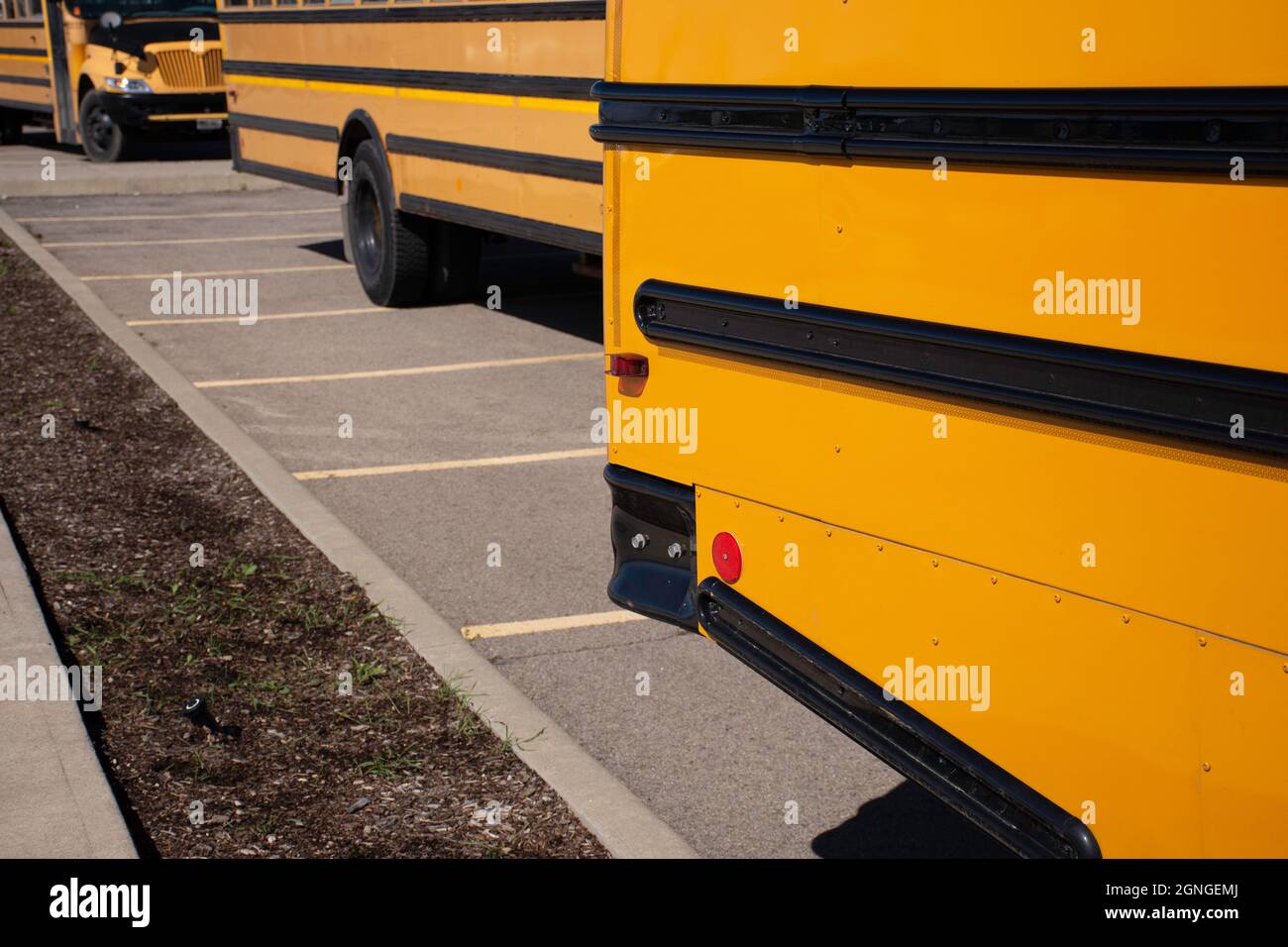 School buses are back to work in September during the pandemic Stock ...