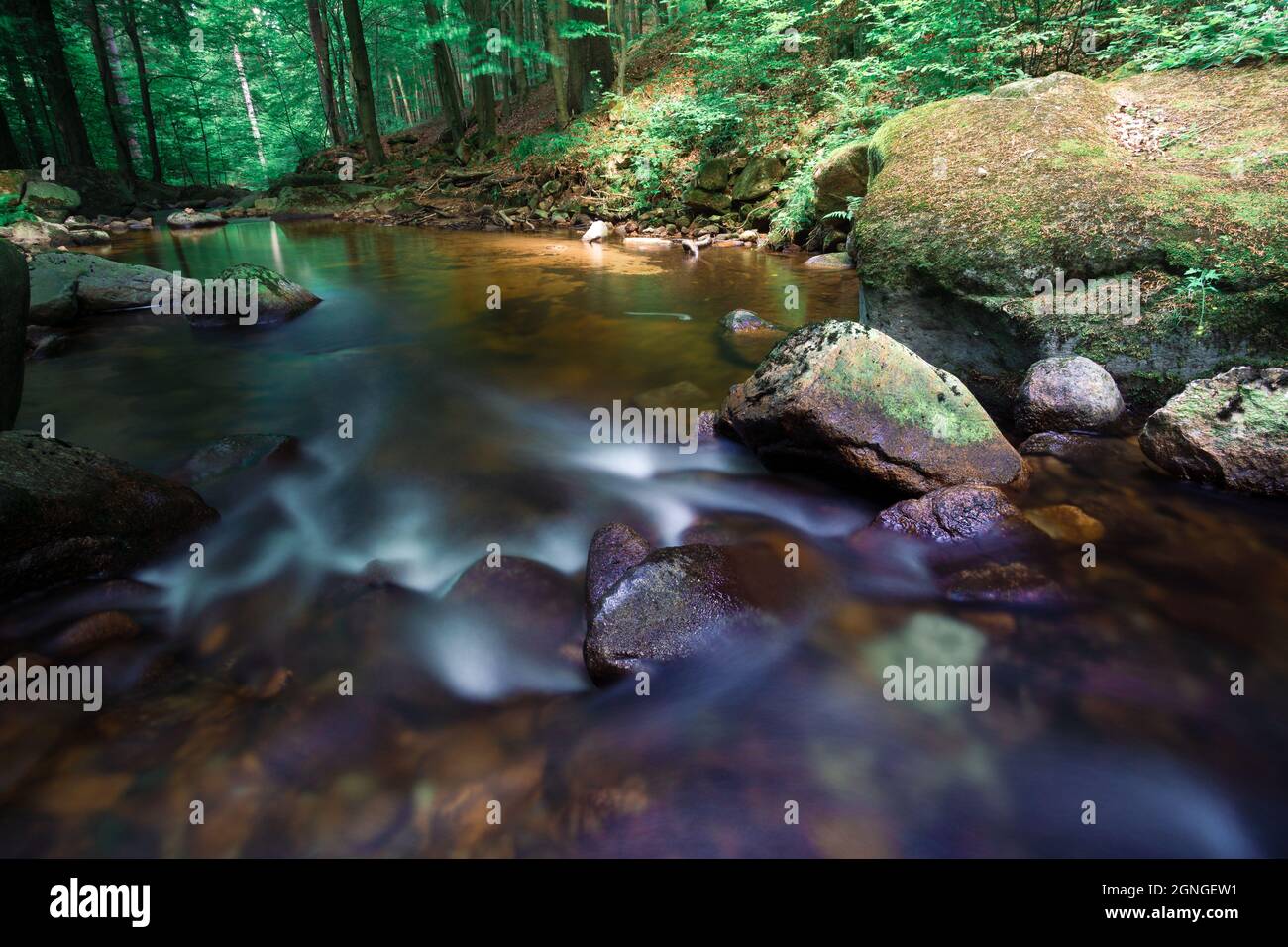 River with small cascades flowing between rocks in a forest Stock Photo ...