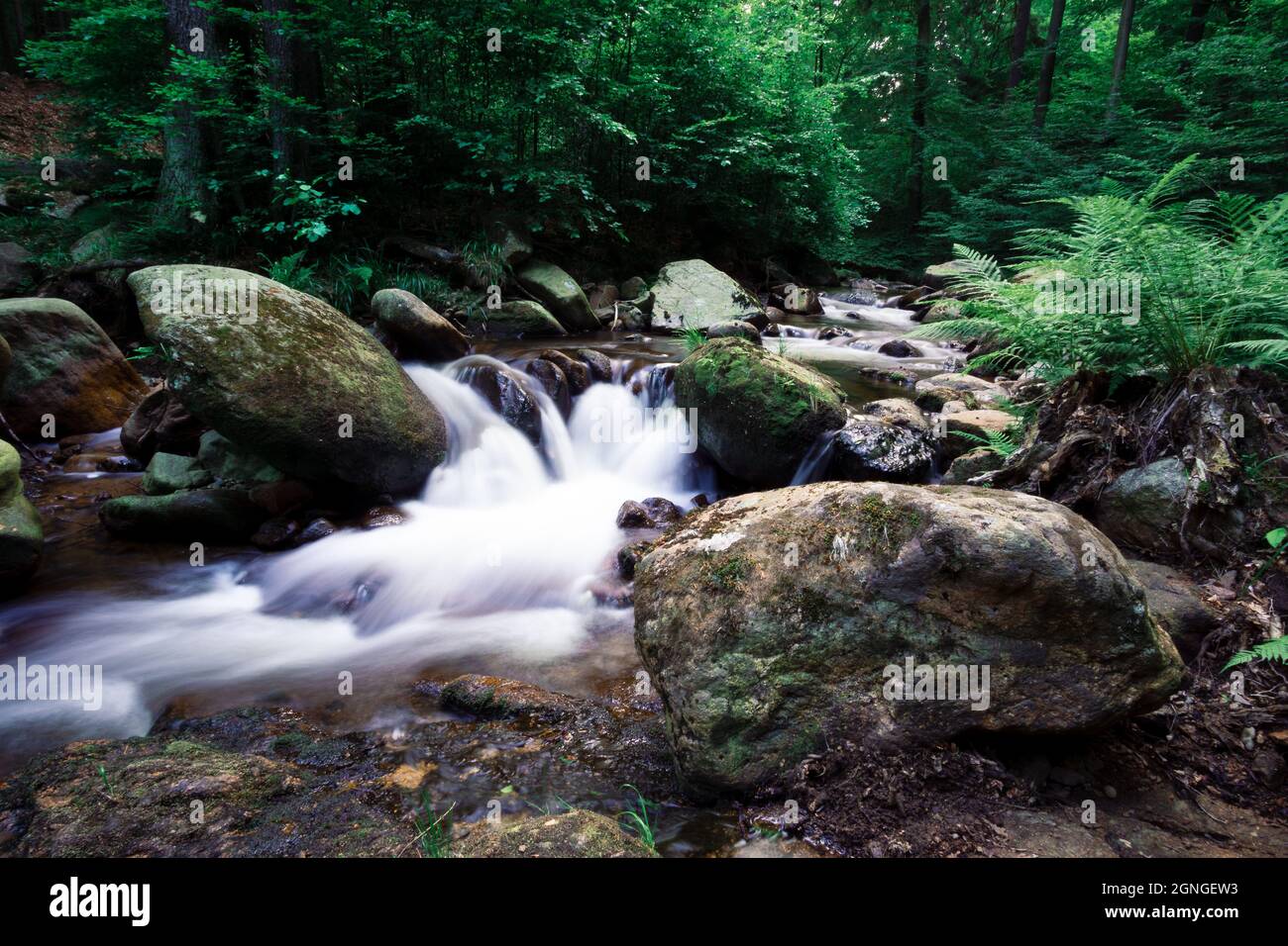 River with small cascades flowing between rocks in a forest Stock Photo ...