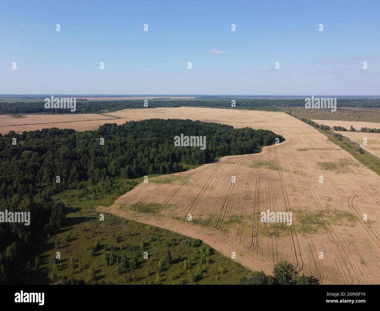 Green deciduous forest next to a farm field. Landscape from a bird's ...