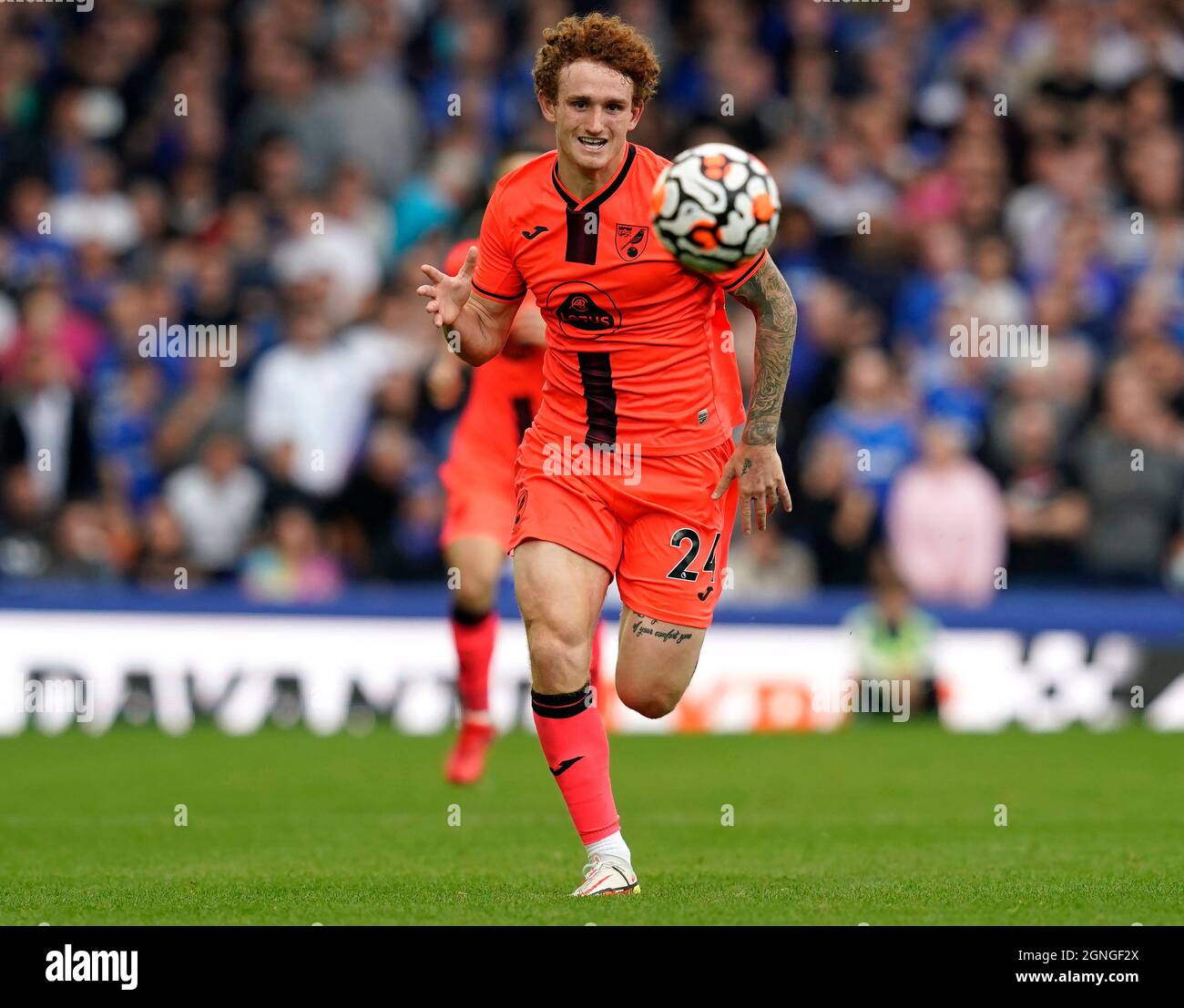 Josh sargent norwich city hi-res stock photography and images - Alamy