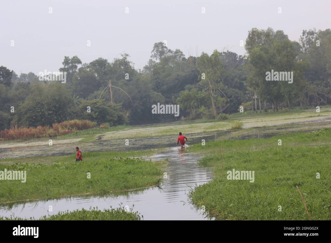 Bangladeshi field hi-res stock photography and images - Alamy