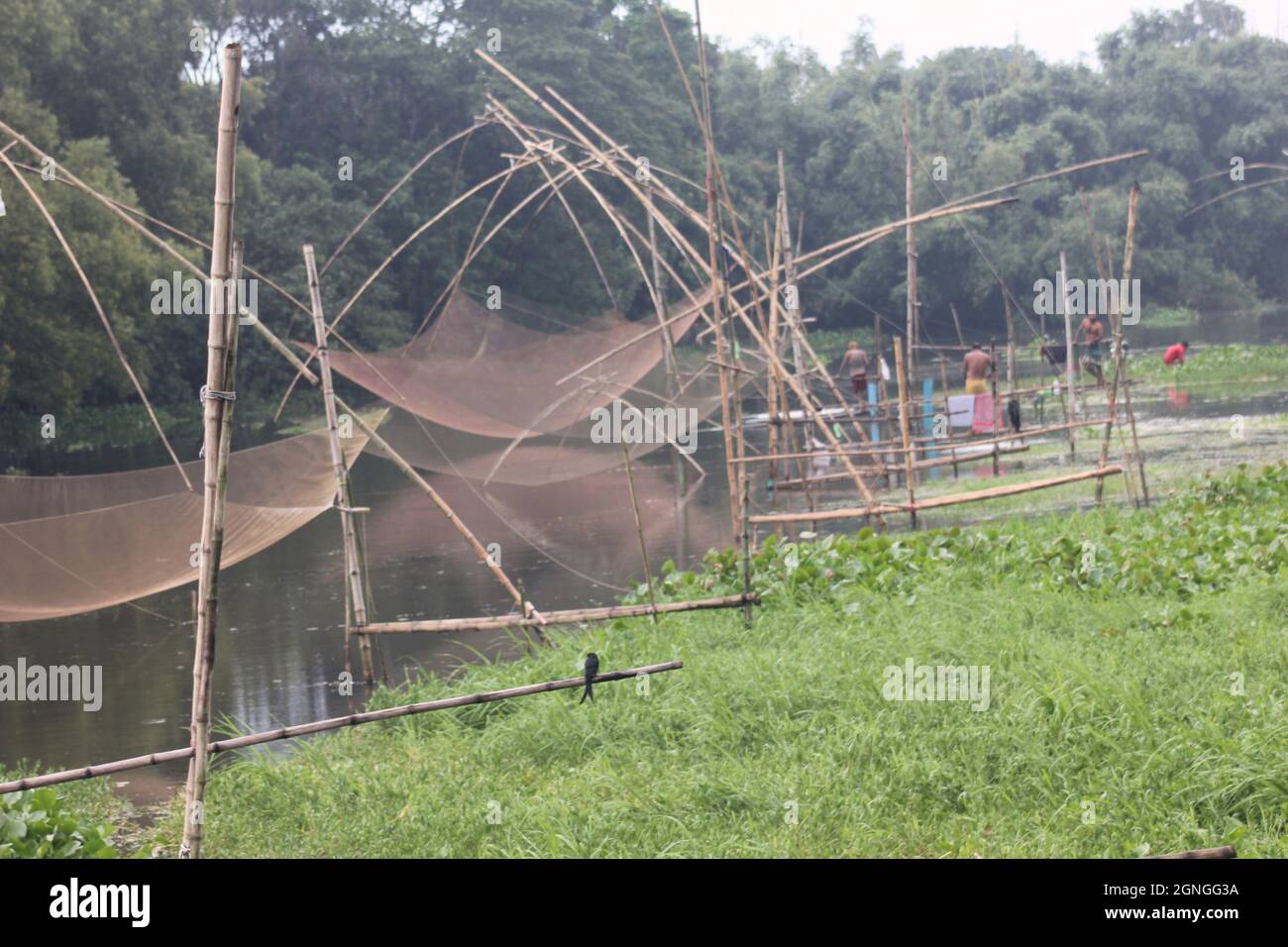 Bamboo fishing nets hi-res stock photography and images - Alamy