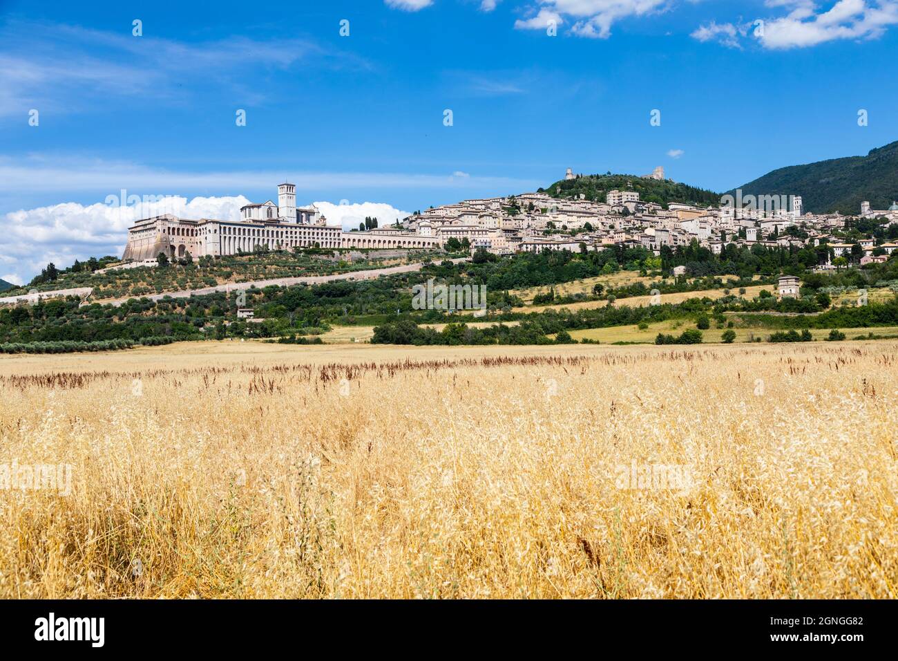 Assisi village in Umbria region, Italy. The town is famous for the most ...