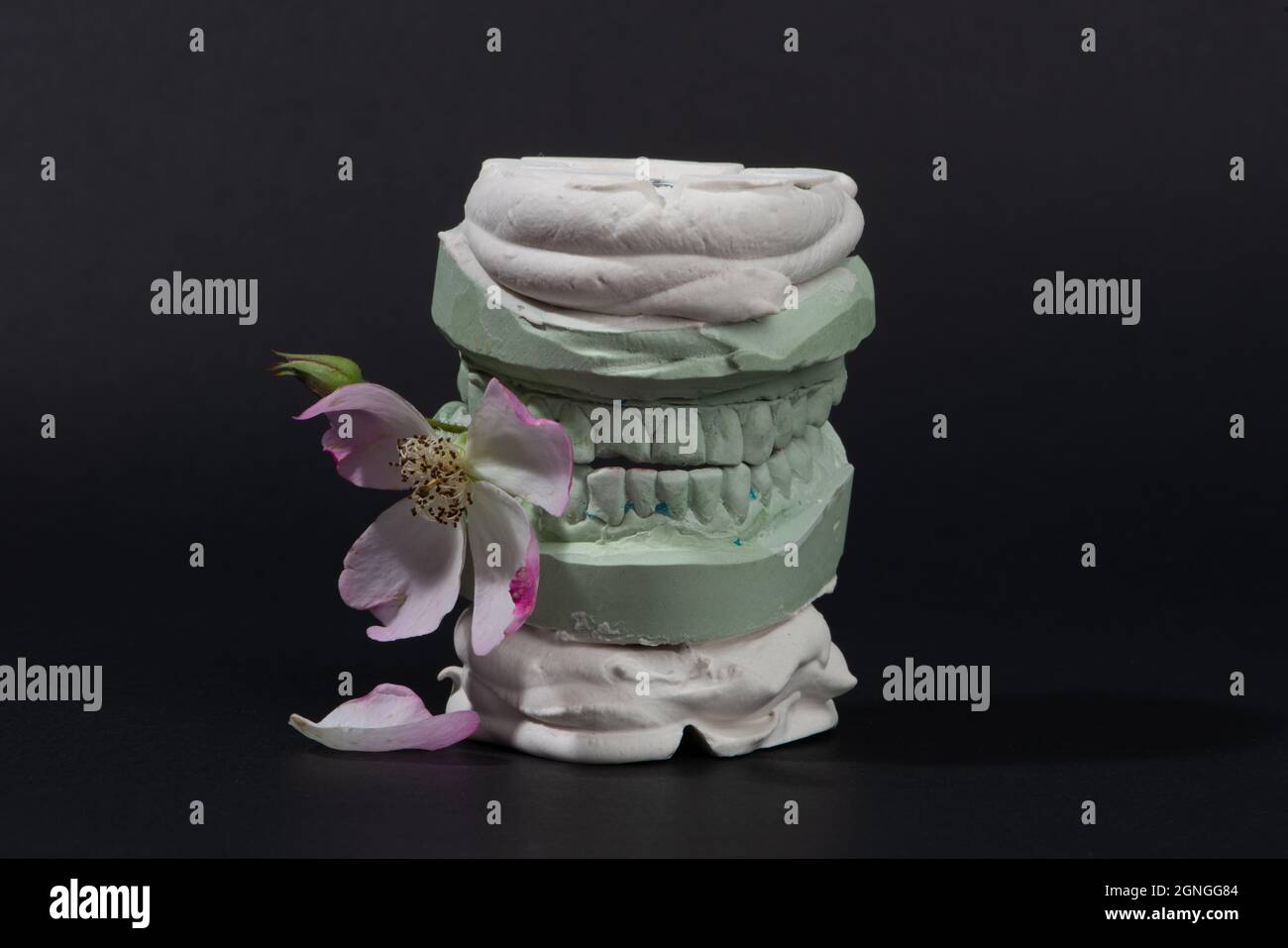 Gypsum flower hi-res stock photography and images - Alamy