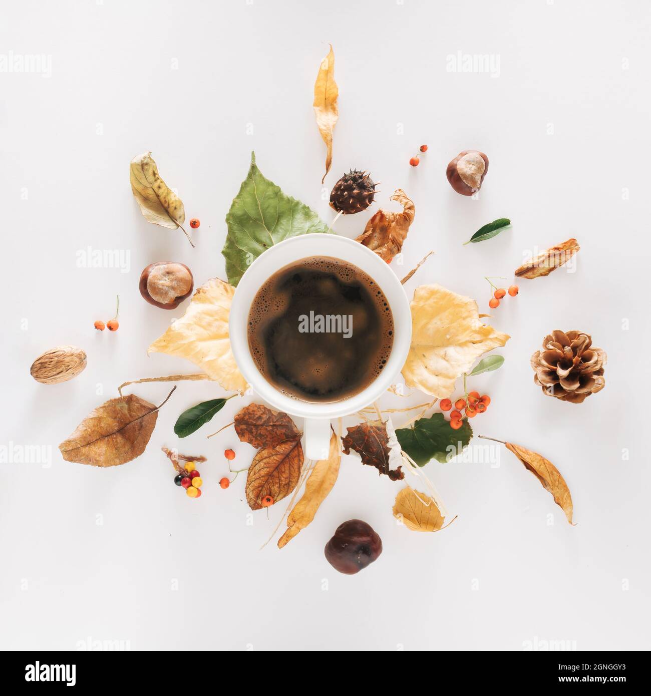 Strong composition hi-res stock photography and images - Alamy