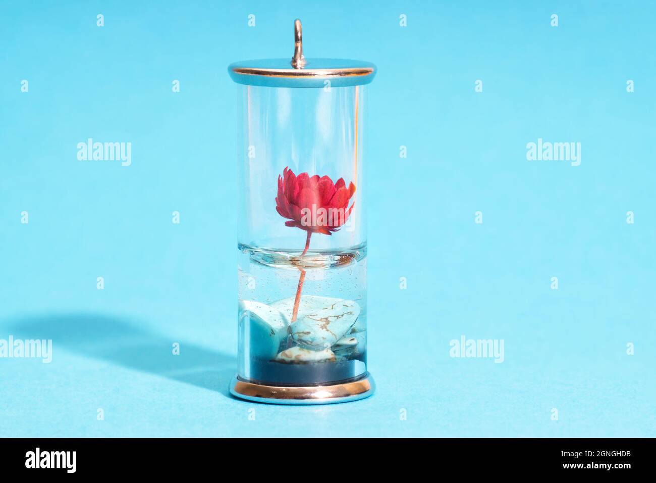 Handmade lotus flower in a tiny glass vessel on a blue background ...