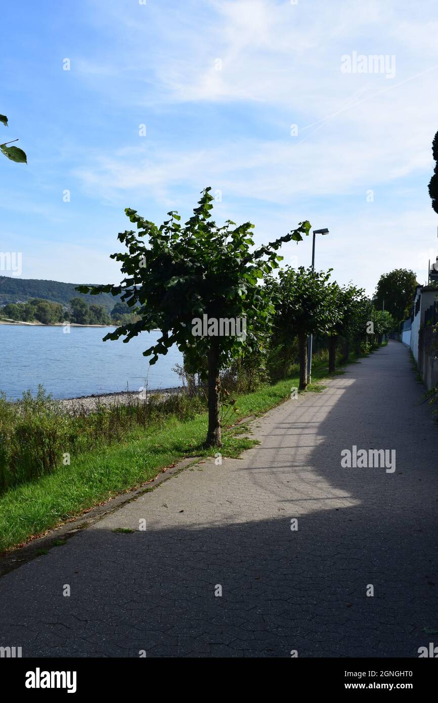 waterfront path at the Rhine in Bad Breisig Stock Photo - Alamy