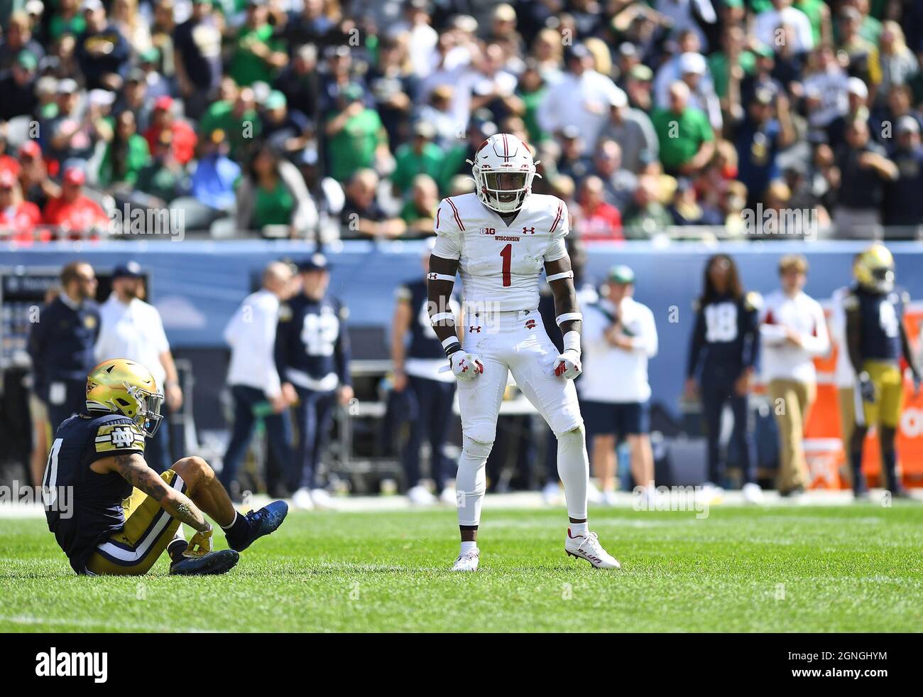 Faion hicks hi-res stock photography and images - Alamy