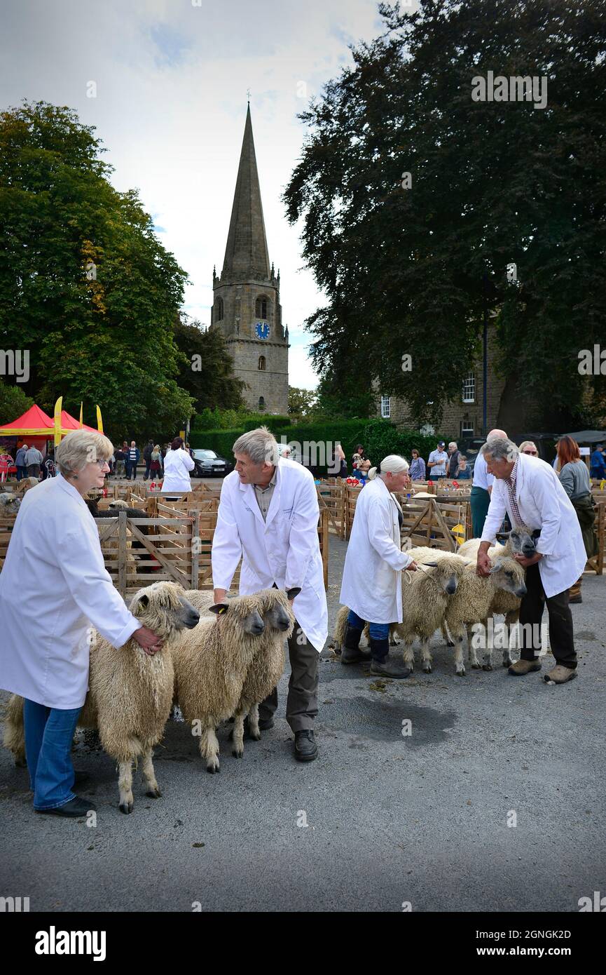 Masham Sheep Fair 2021 North Yorkshire England Stock Photo - Alamy