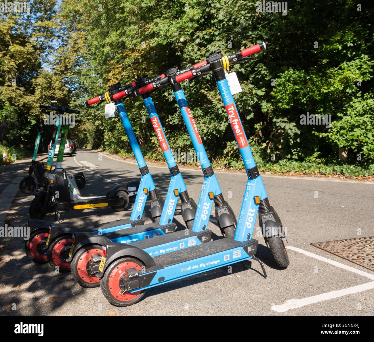 Dott logo hi-res stock photography and images - Alamy