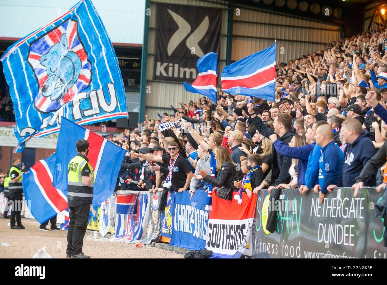 Union bears hi-res stock photography and images - Alamy