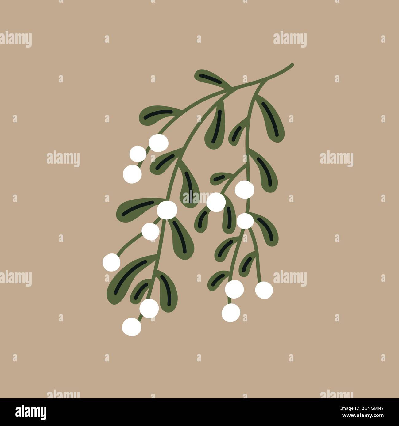 Mistletoe Vector