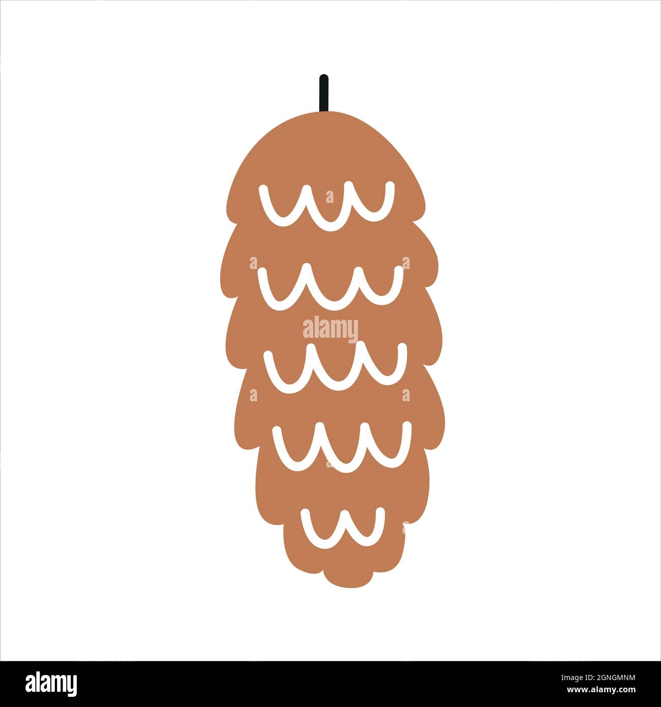 Conifer cone. Vector decorative element Stock Vector Image & Art - Alamy