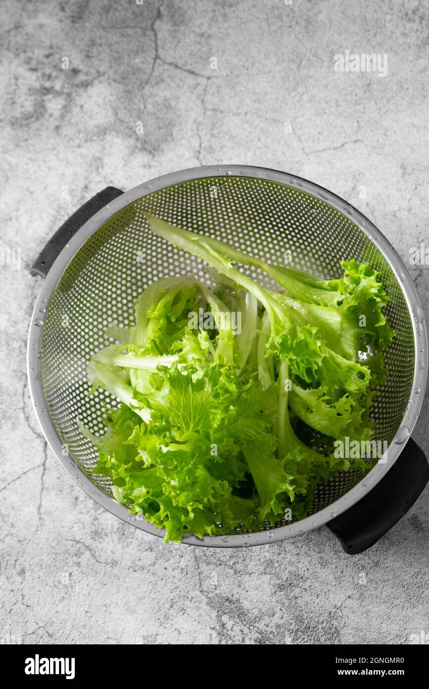 Washed lettuce, Lollo Biondo, in a stainless steel colander. On a ...