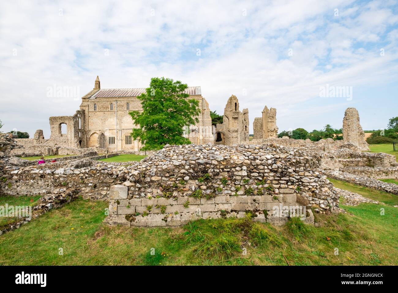 The stone and flint remains of a thirteenth century disused and ...
