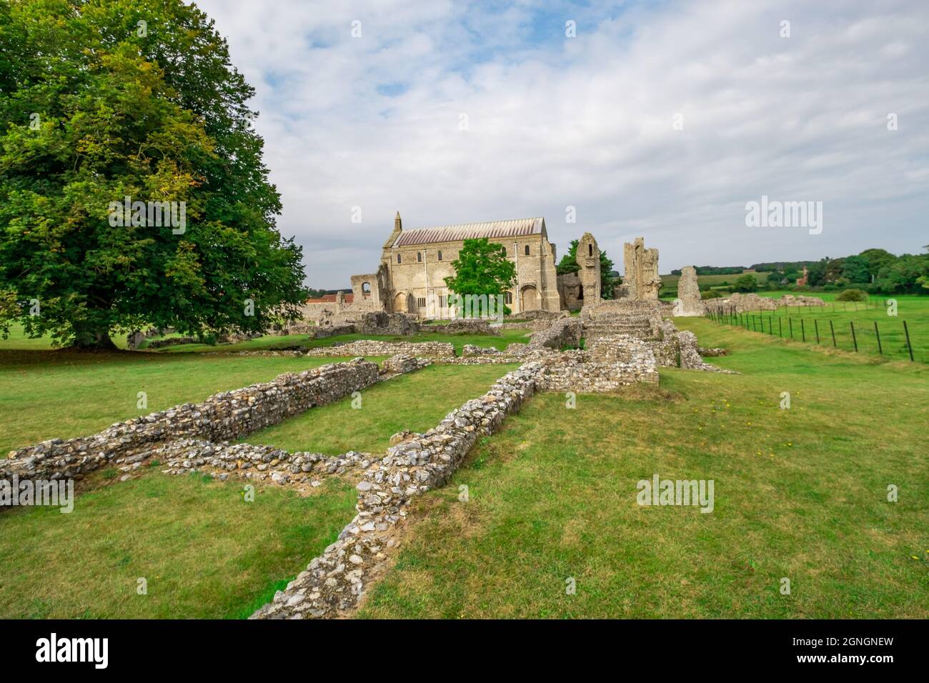 The stone and flint remains of a thirteenth century disused and ...