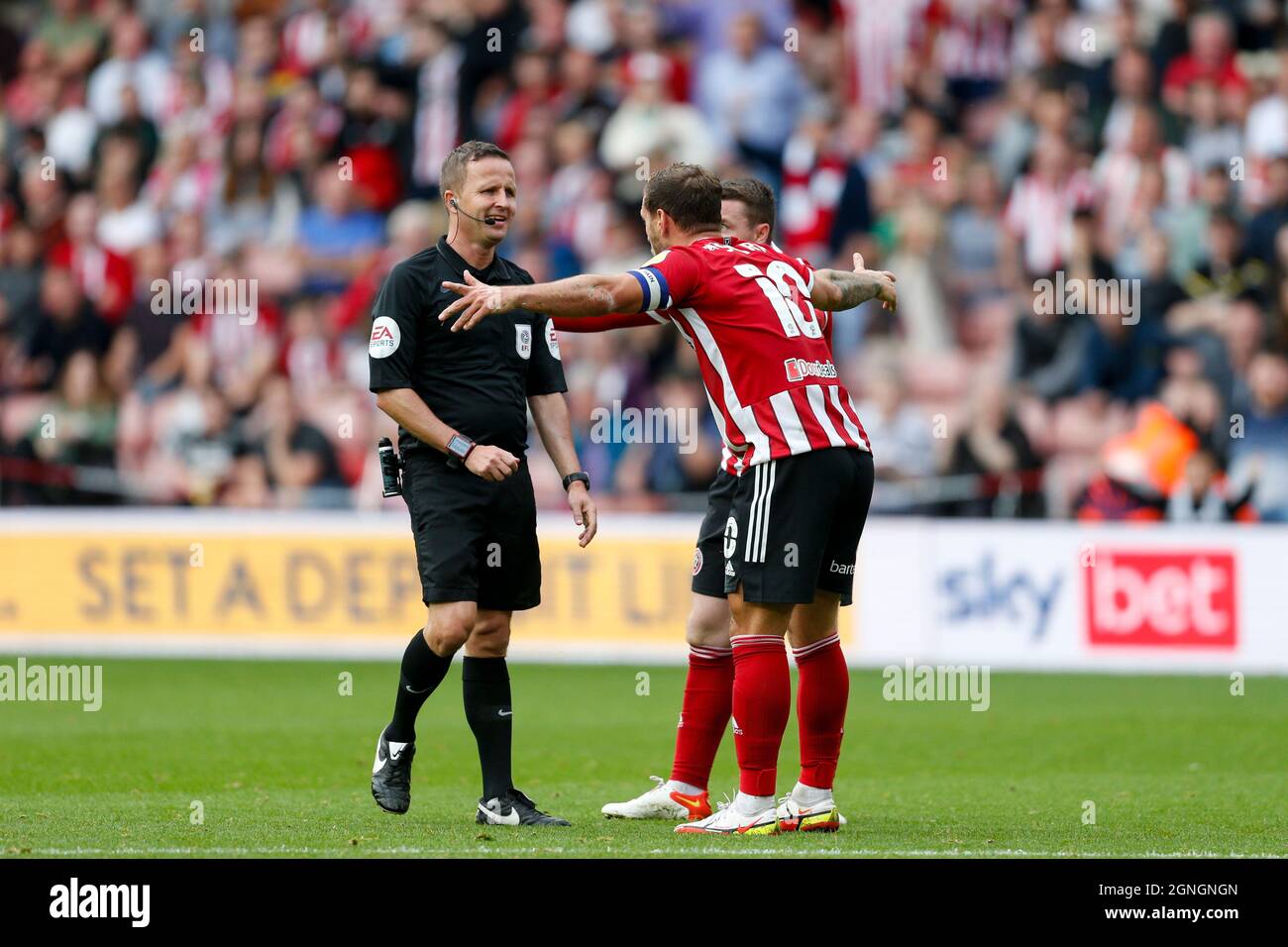 David webb referee 2021 hi-res stock photography and images - Alamy