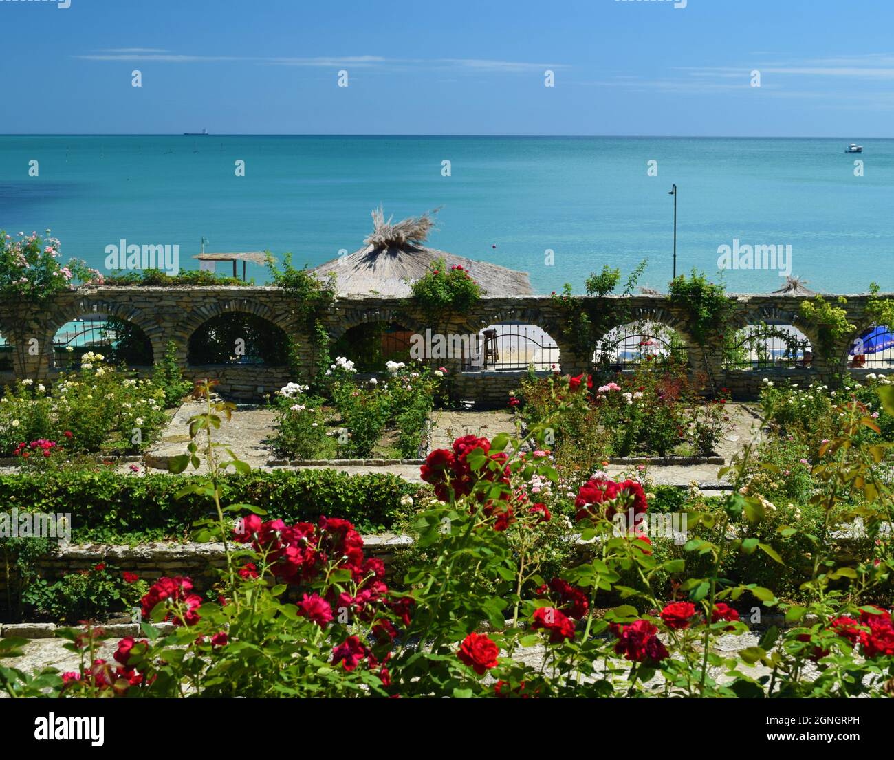 Botanical Garden of Balchik with roses and stone walls, Bulgaria, Black ...