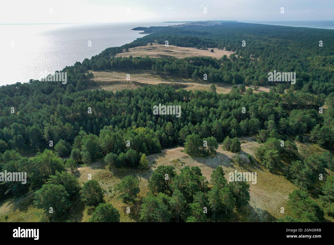 Aerial view with dunes, forest and sea in Curonian spit on a sunny day ...