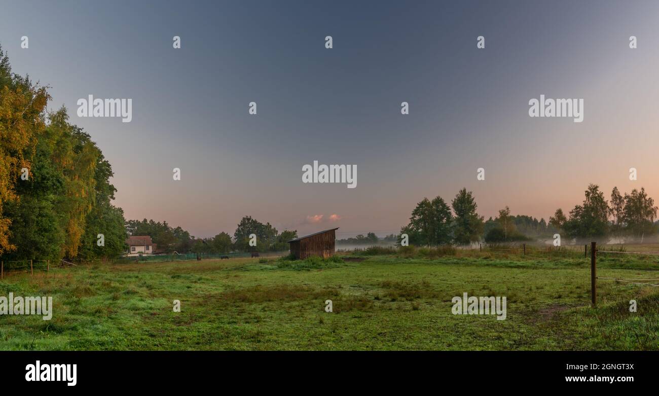 Pasture land with morning fog with sunrise light in south Bohemia ...