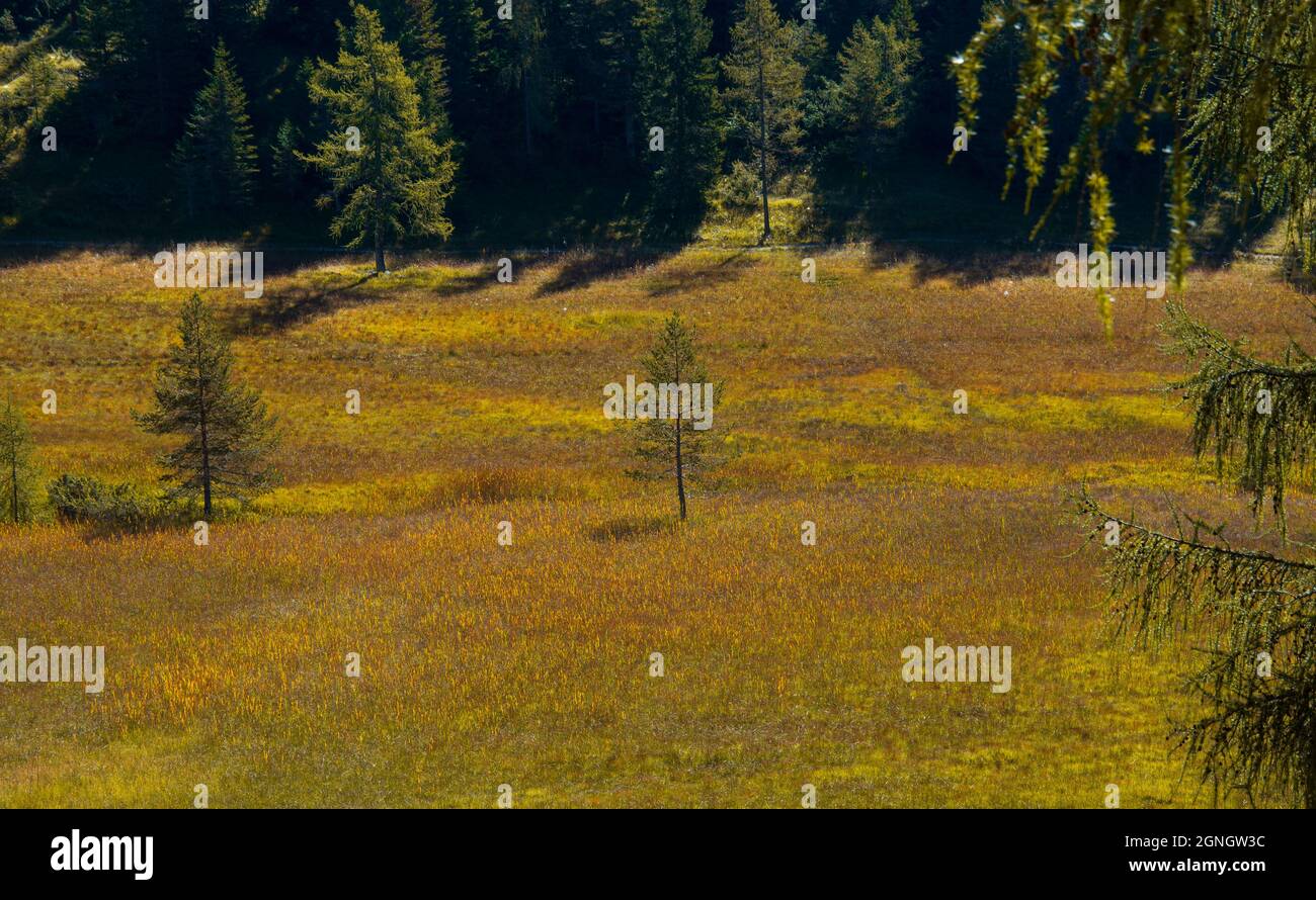 Saskatoon autumn colors hi-res stock photography and images - Alamy