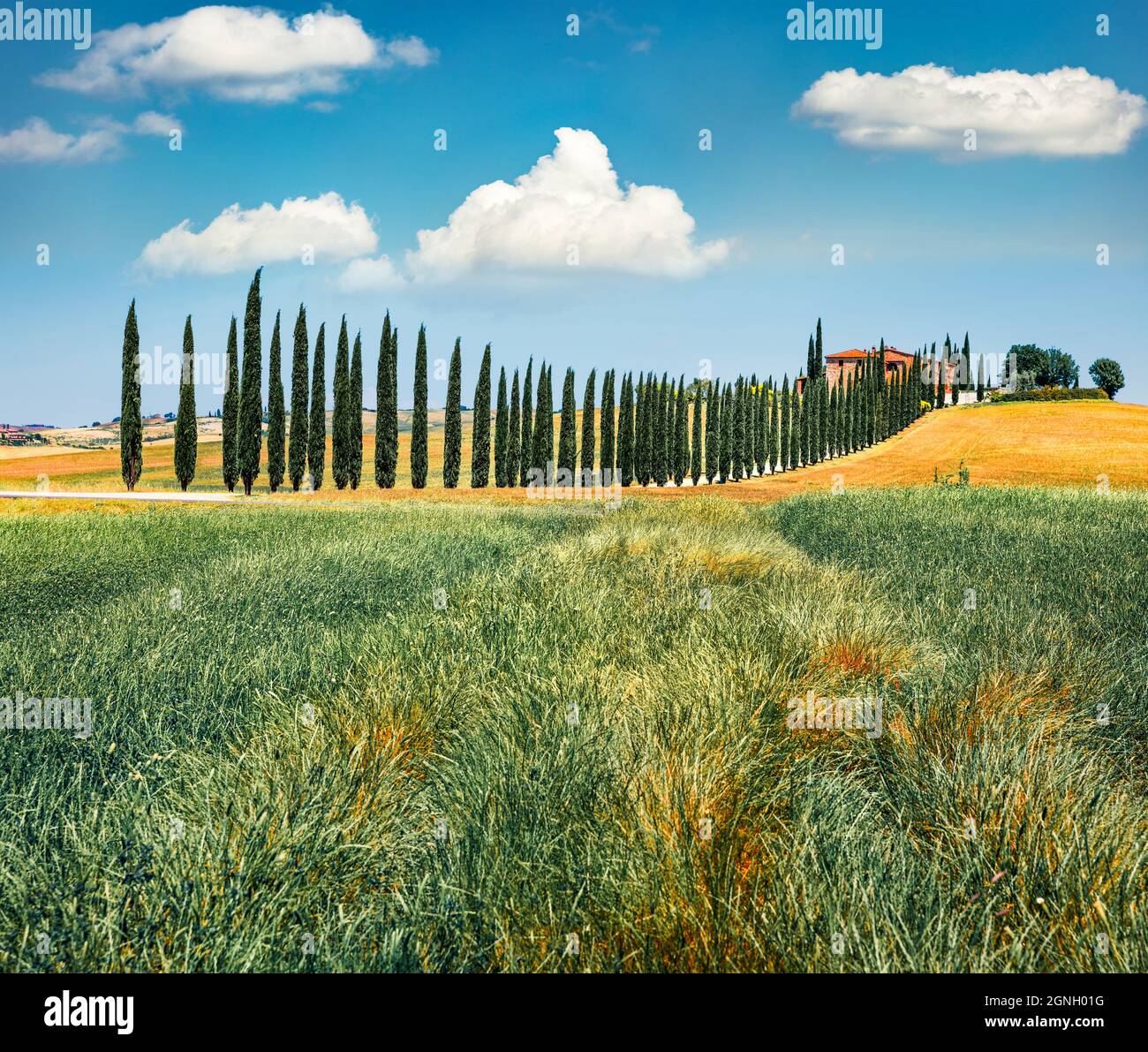 Attractive tuscan landscape hi-res stock photography and images - Alamy