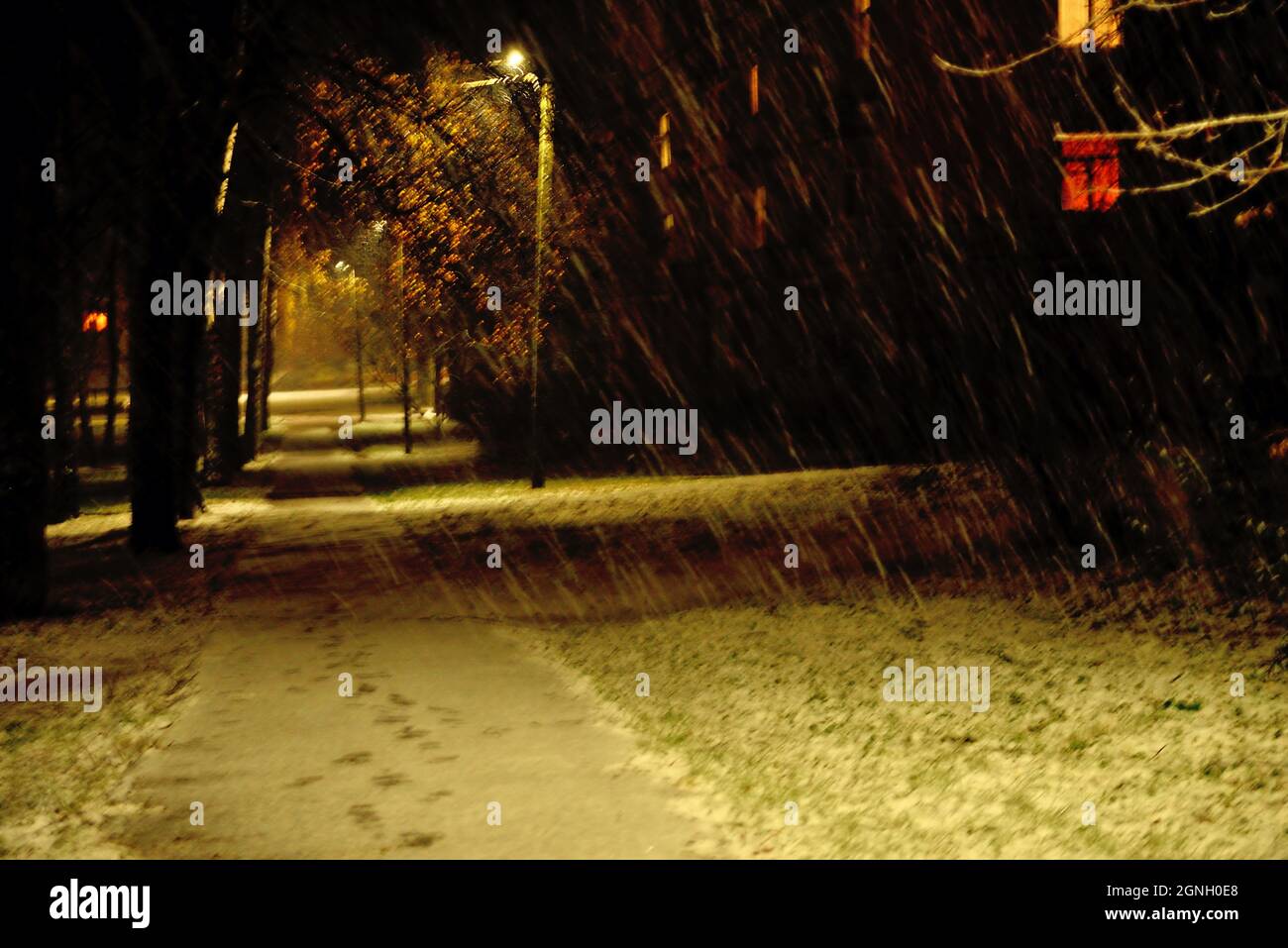 Night alley, snowfall in the light of a street lamp, glowing windows of ...
