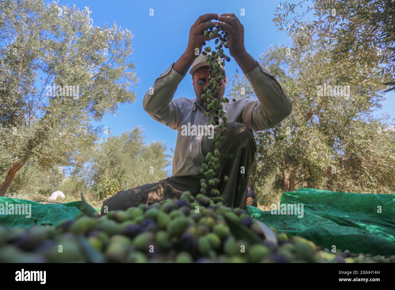 Nuseirat, The Gaza Strip, Palestine. 25th Sep, 2021. A Palestinian ...
