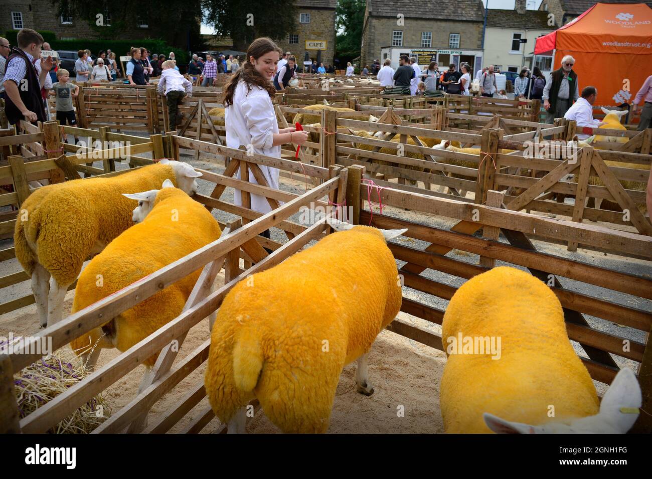 Masham Sheep Fair 2021 North Yorkshire England Stock Photo - Alamy