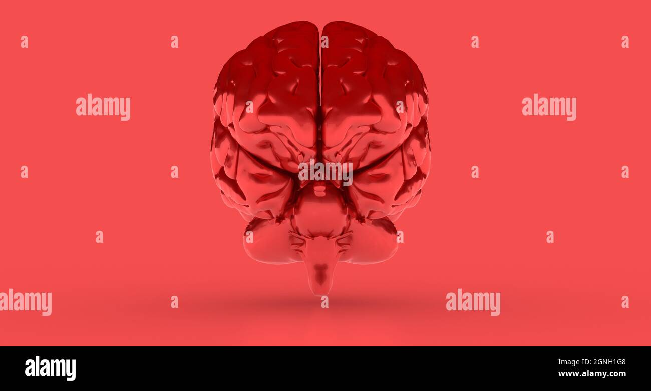 3d illustration of a human brain isolated on a red background ...