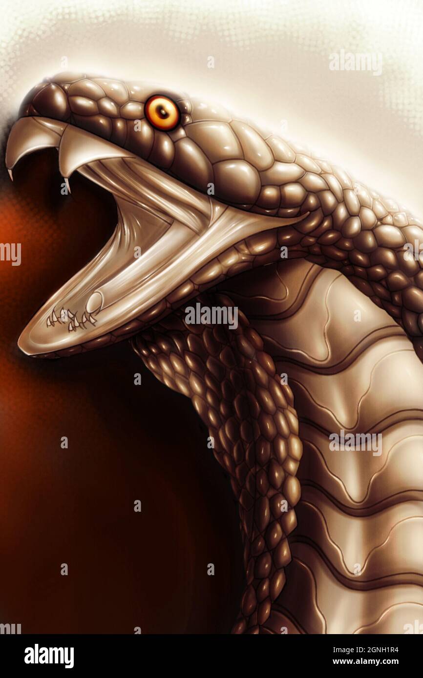 A beautiful, surprising and shocking illustration of a snake Stock ...