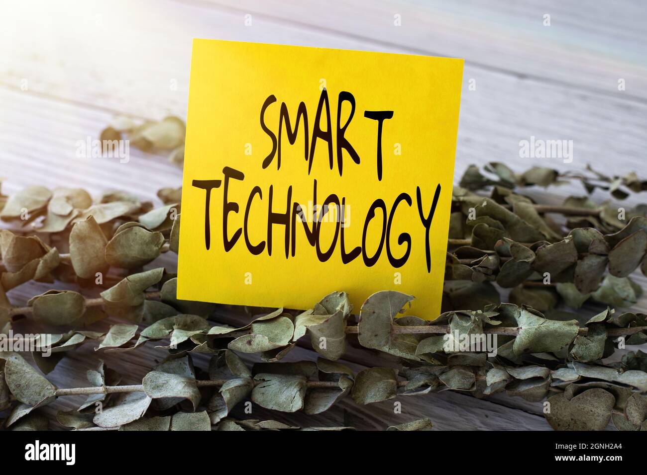 Conceptual display Smart Technology. Word for used to protect and prevent errors in hard drives ...