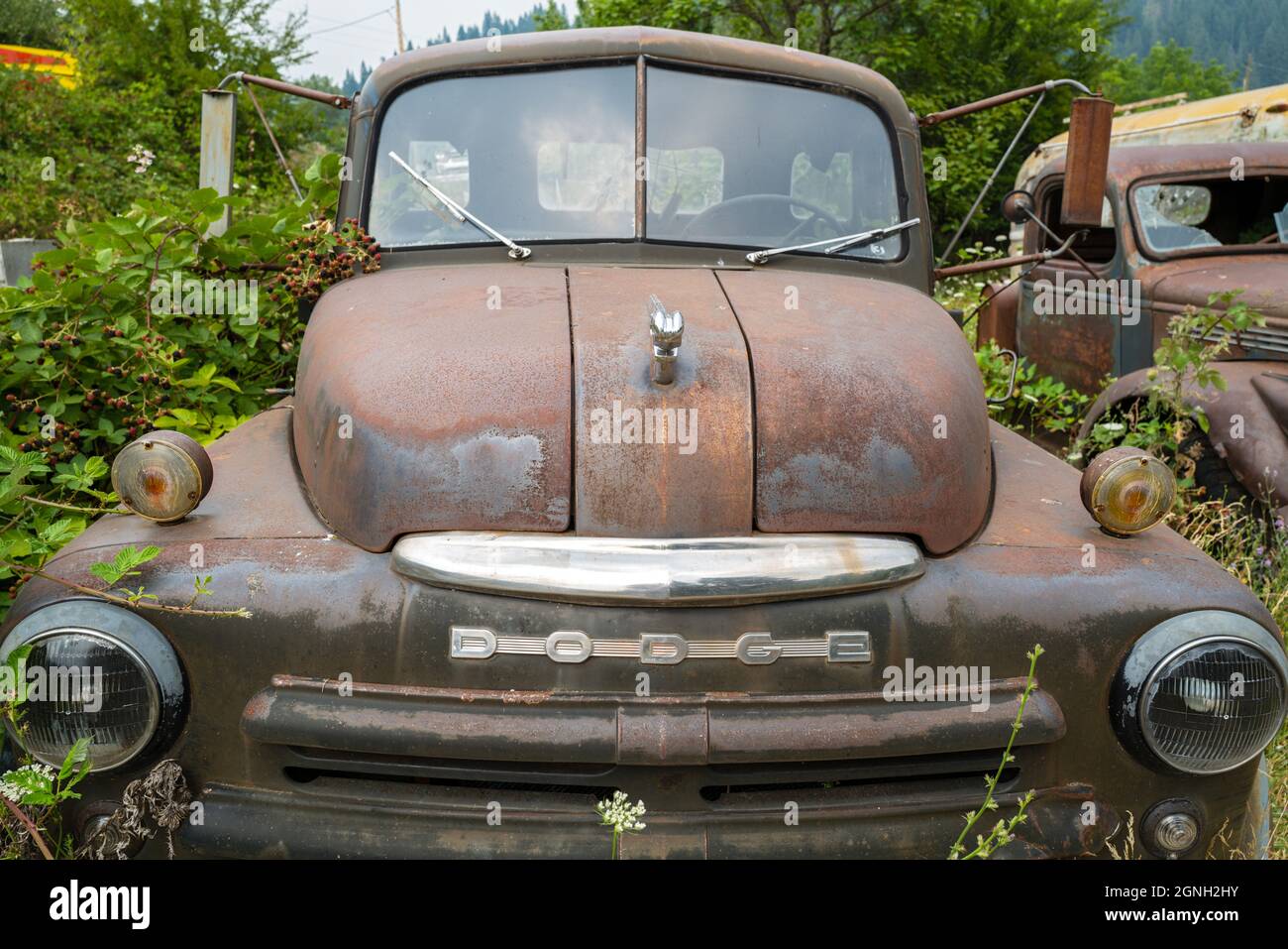 Rusty Dodge Ram Trucks