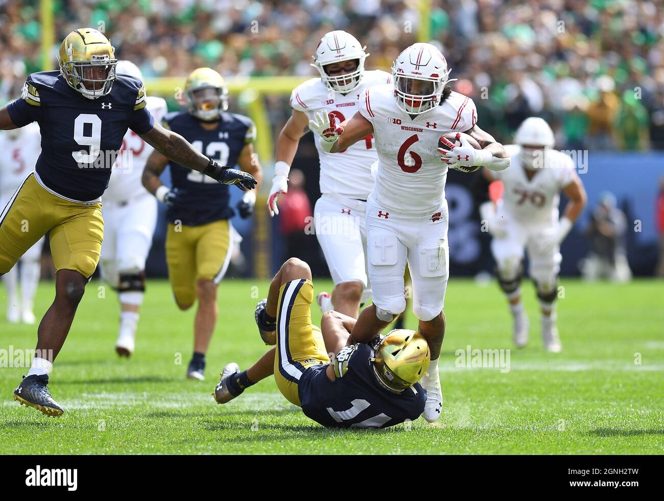 Chez mellusi hi-res stock photography and images - Alamy