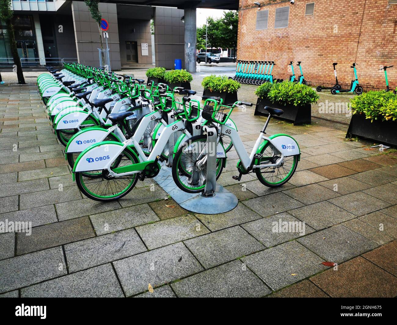Closeup of a row of bikes parked outside on the pavement Stock Photo ...