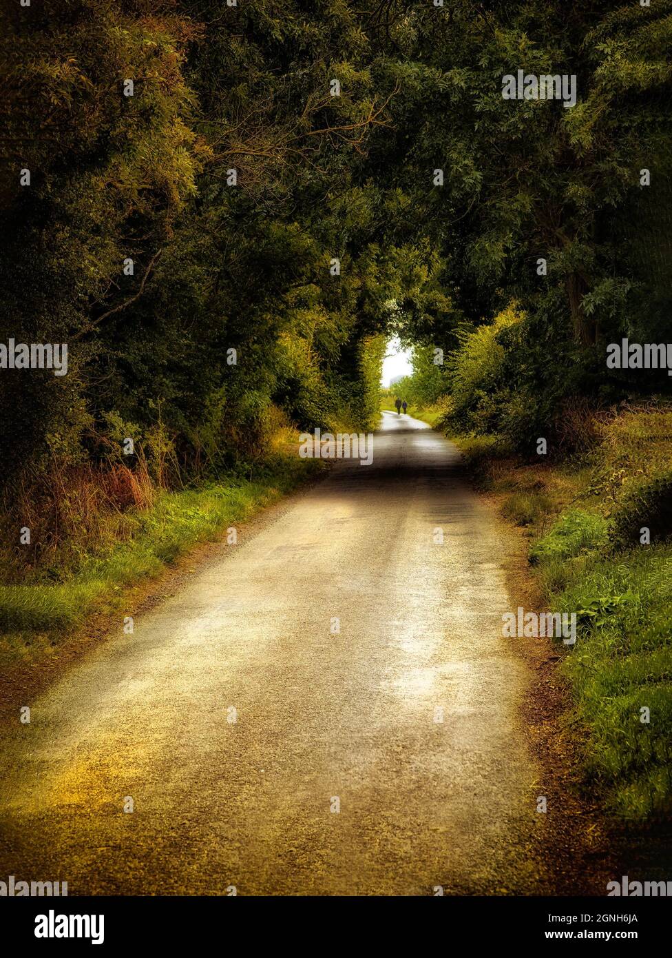 Country road with trees and figures hi-res stock photography and images ...