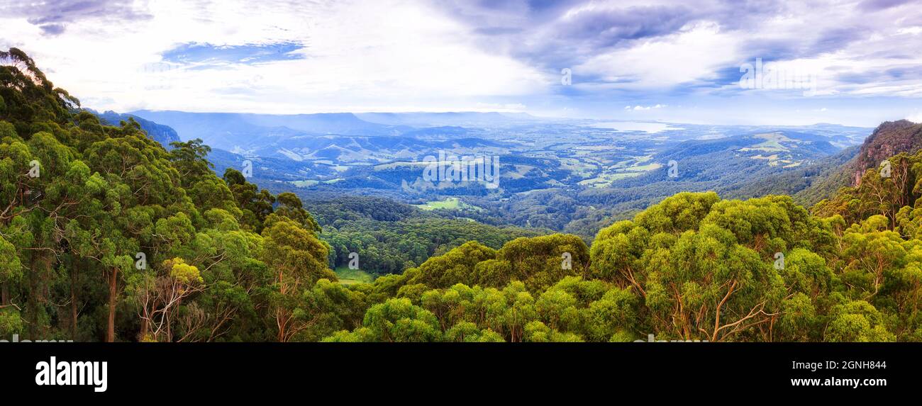 Tree tops sky walk in Australian Southern highlands overlooking ...