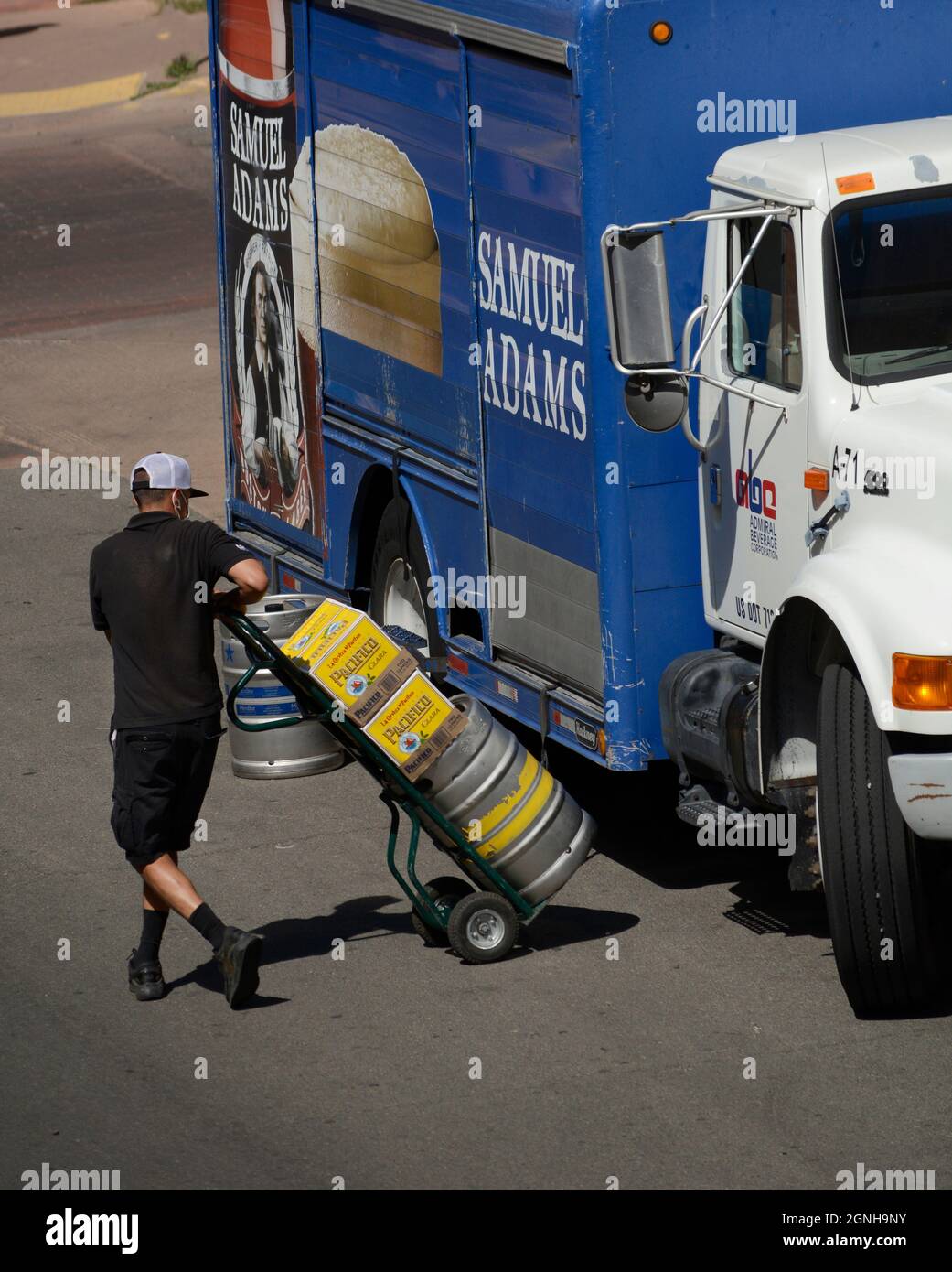 A beer deliveryman with a hand truck delivers cartons of Pacifico ...